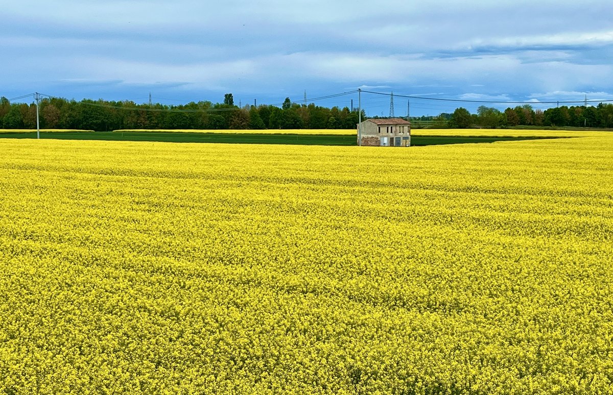 Adria | Visit Rovigo