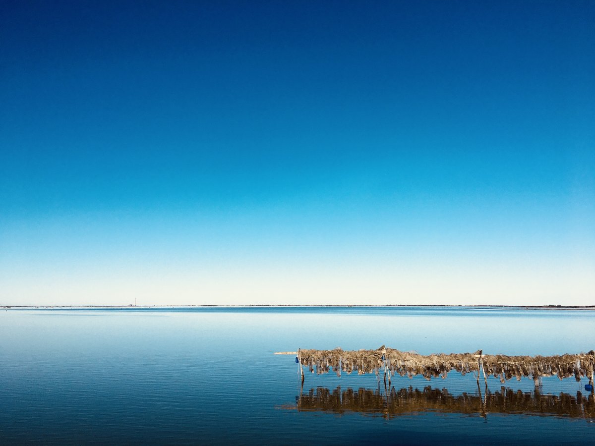 Il Delta del Po | Visit Rovigo