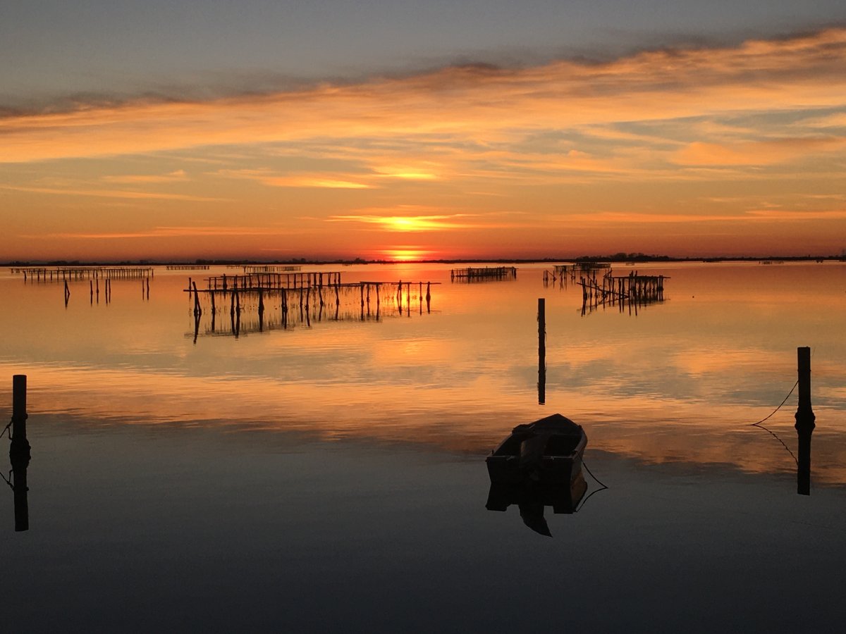 Il Delta del Po | Visit Rovigo